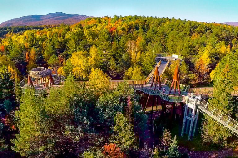 The Wild Center | Cambria Hotel Lake Placid, NY